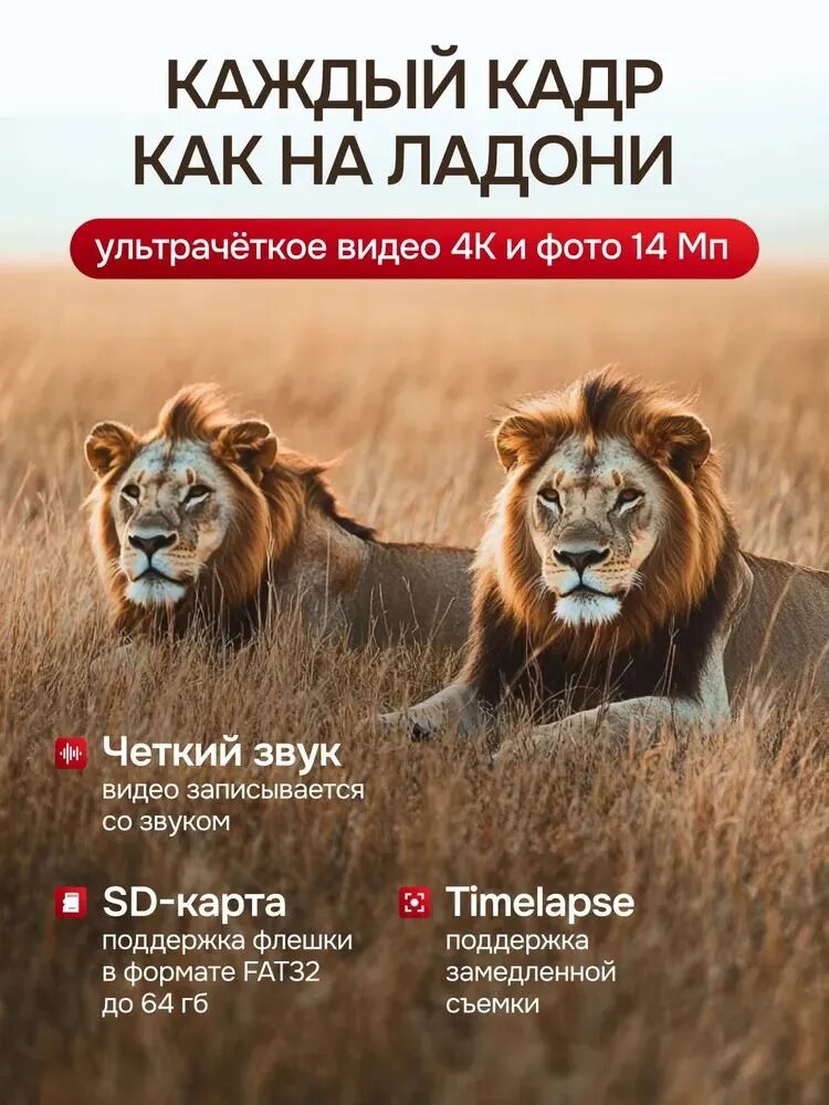 Фотоловушка — фото 1