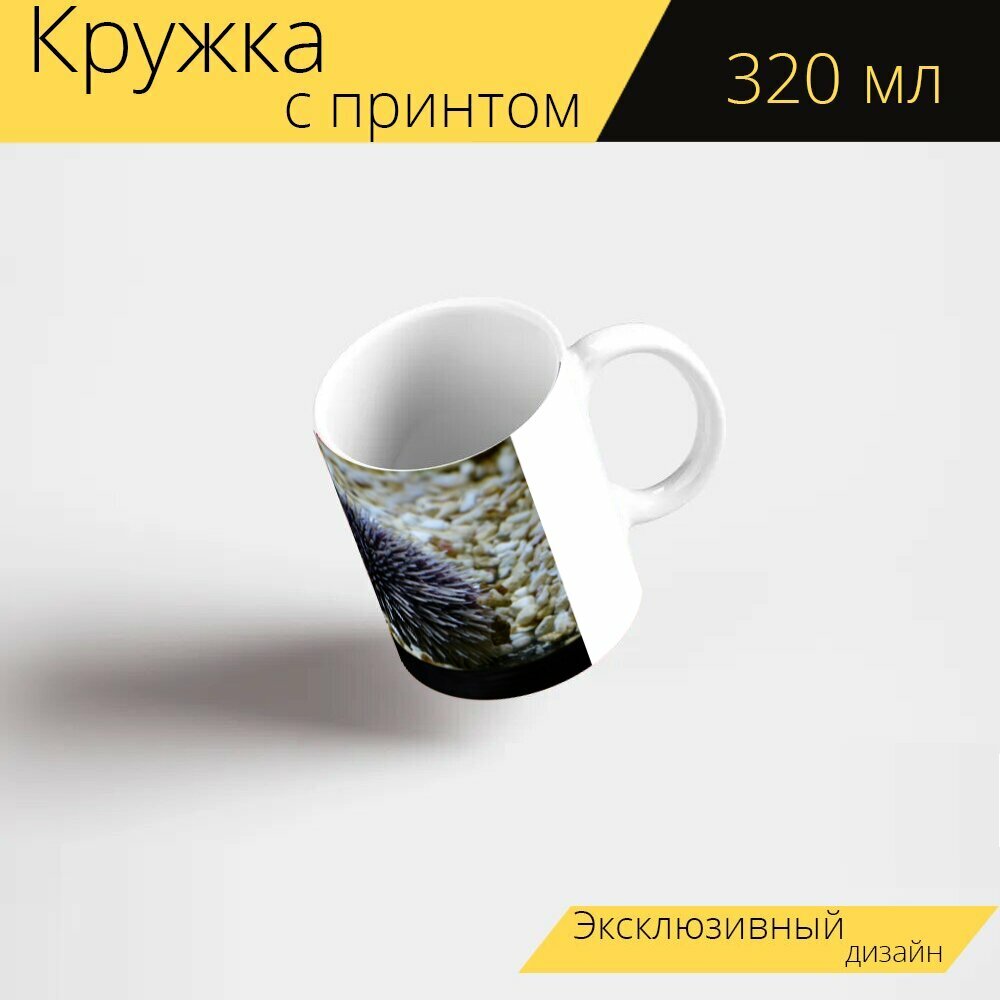 Кружка с рисунком, принтом "Морские ежи, фиолетовый морской еж, sphaerechinus granularis" 320 мл.