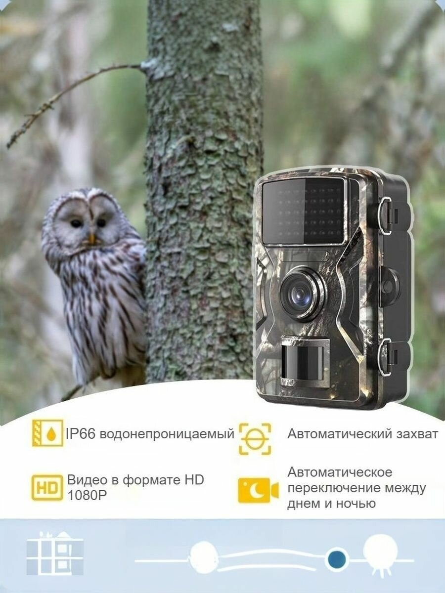 Фотоловушка — фото 1