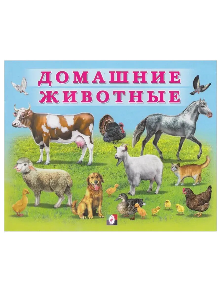 Учим малыша. Домашние животные