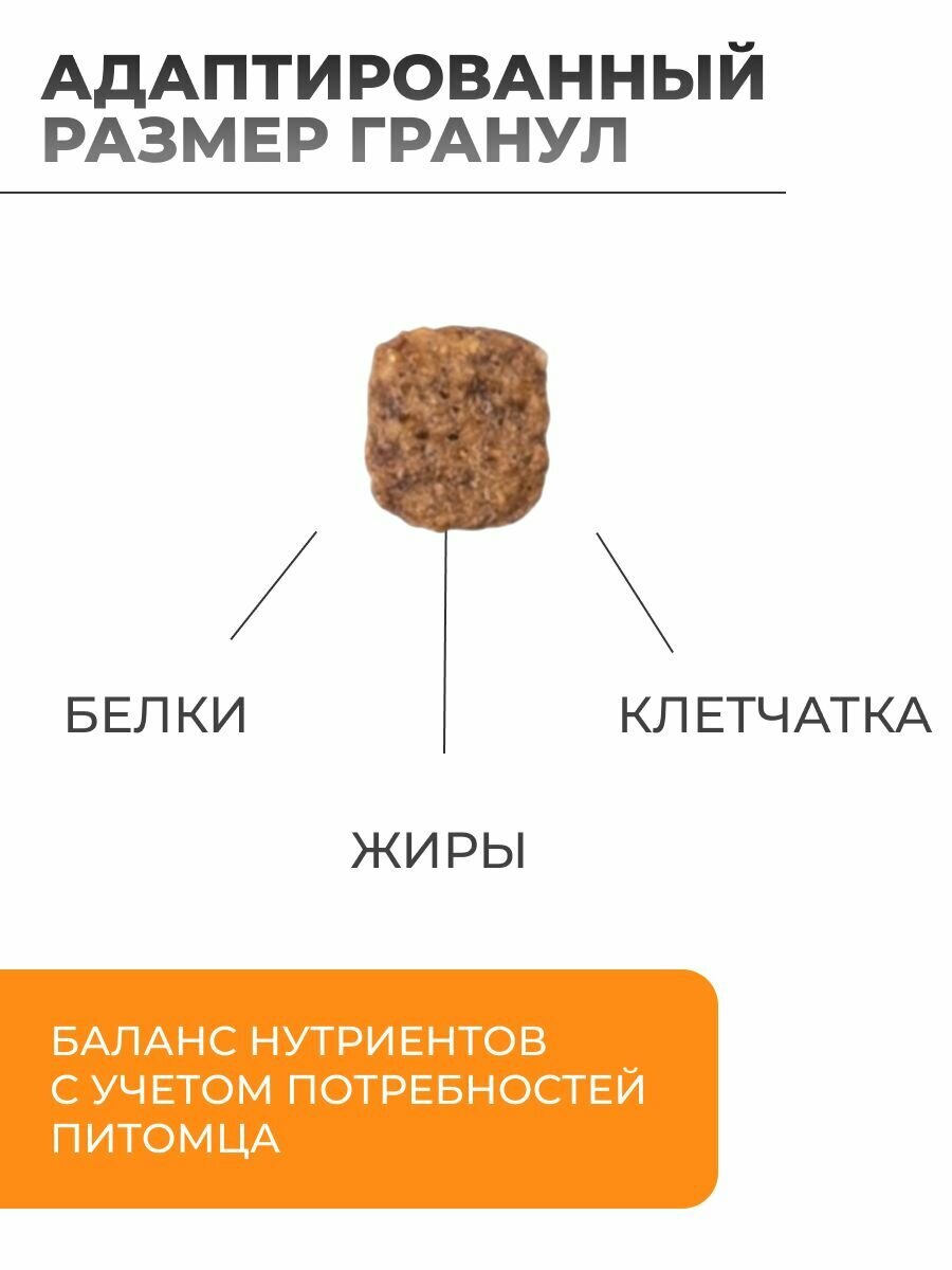 Корм сухой