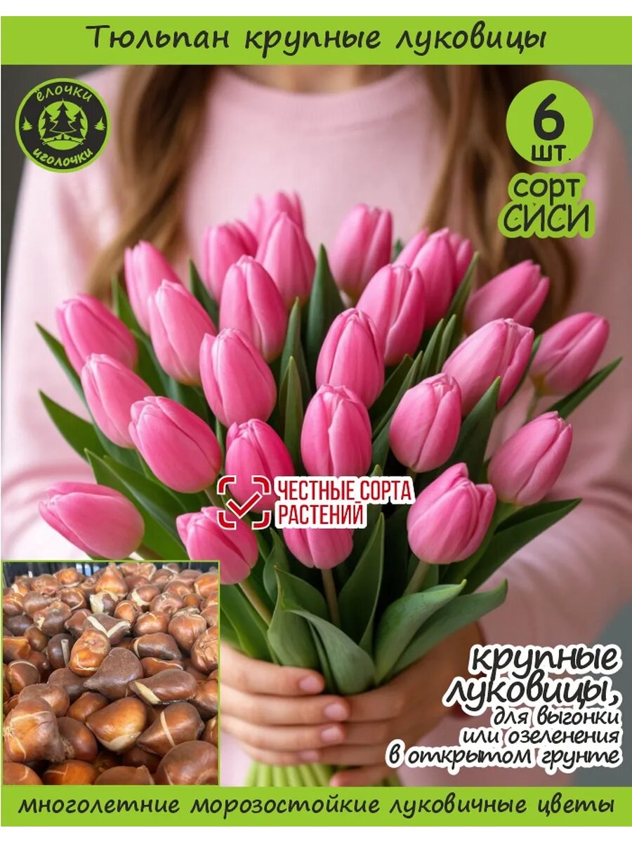 Тюльпан Луковица, Sisi, 6 шт крупные