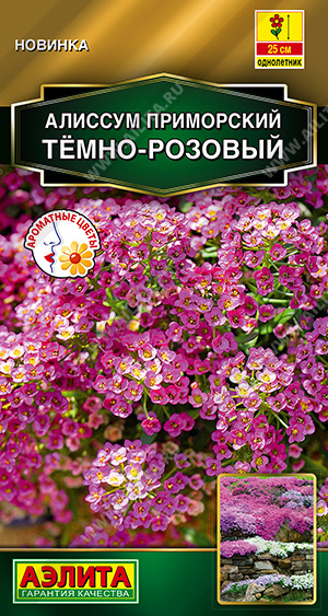 Семена Аэлита "Алиссум", приморский, тёмно-розовый, почвопокровный, для сада, 0,02 г