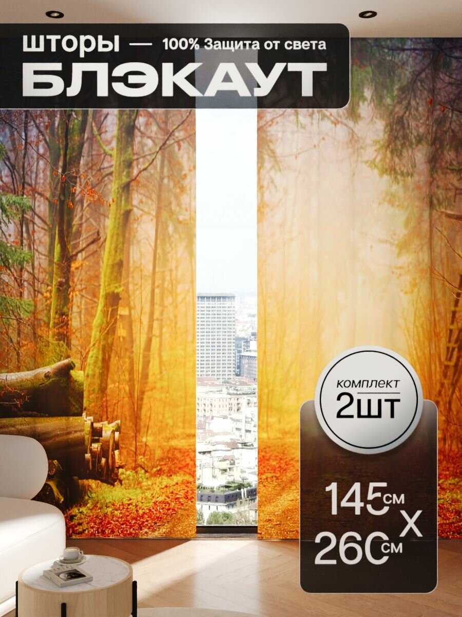 Шторы блэкаут 145x260 см 2 шт на окна плотные комплект