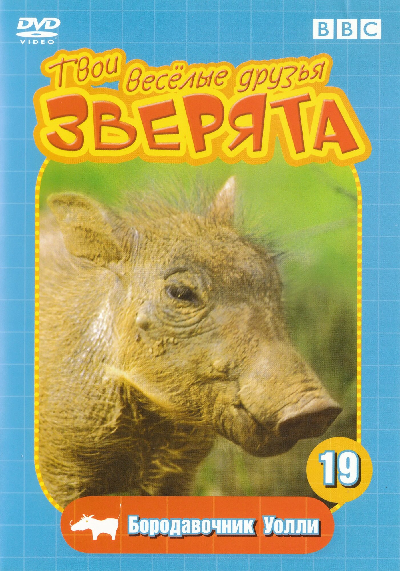 BBC: Твои веселые друзья зверята: Бородавочник Уолли (DVD-R)