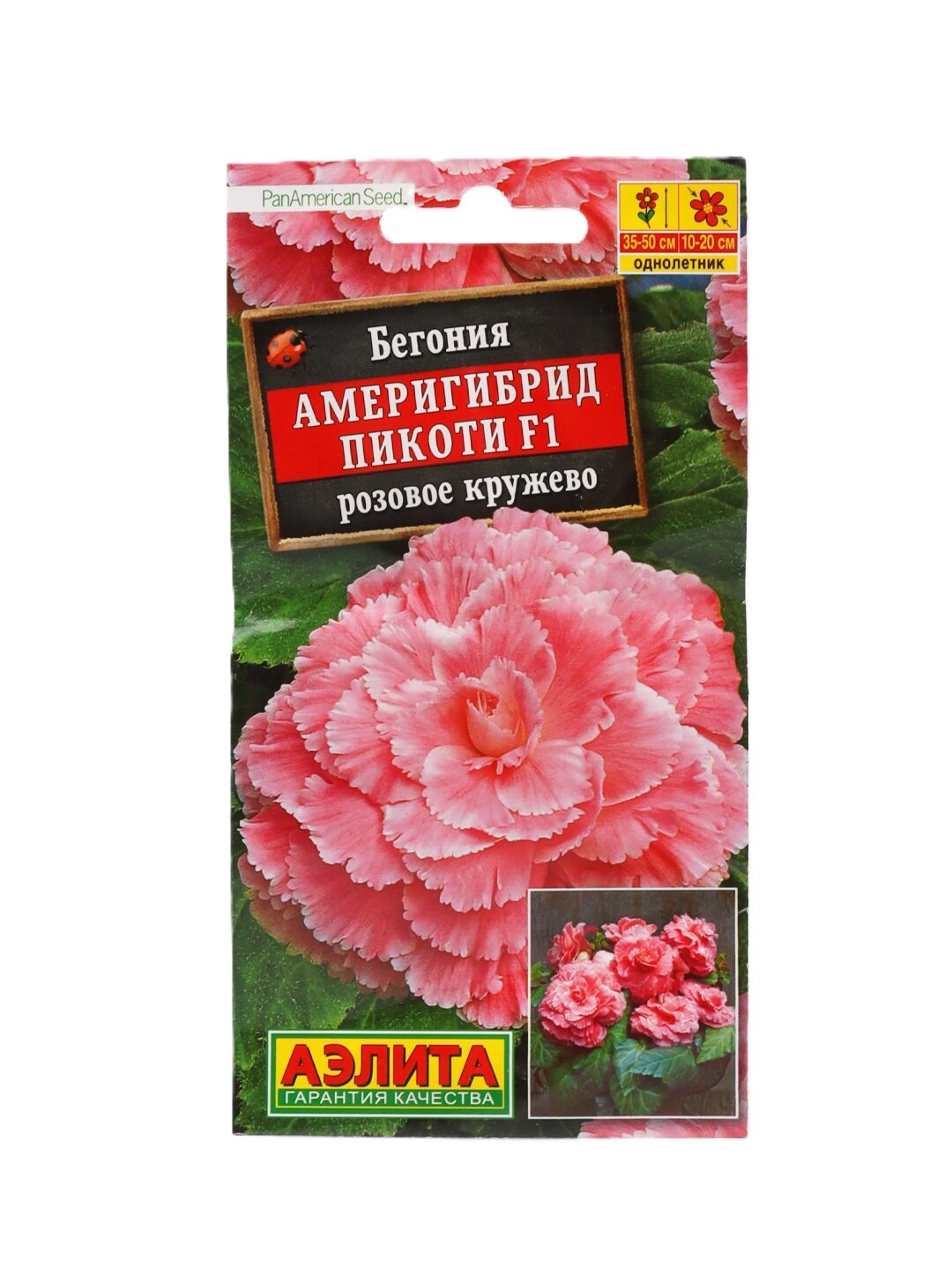 Семена бегонии Аэлита Америгибрид пикоти, розовое кружево, 5 шт