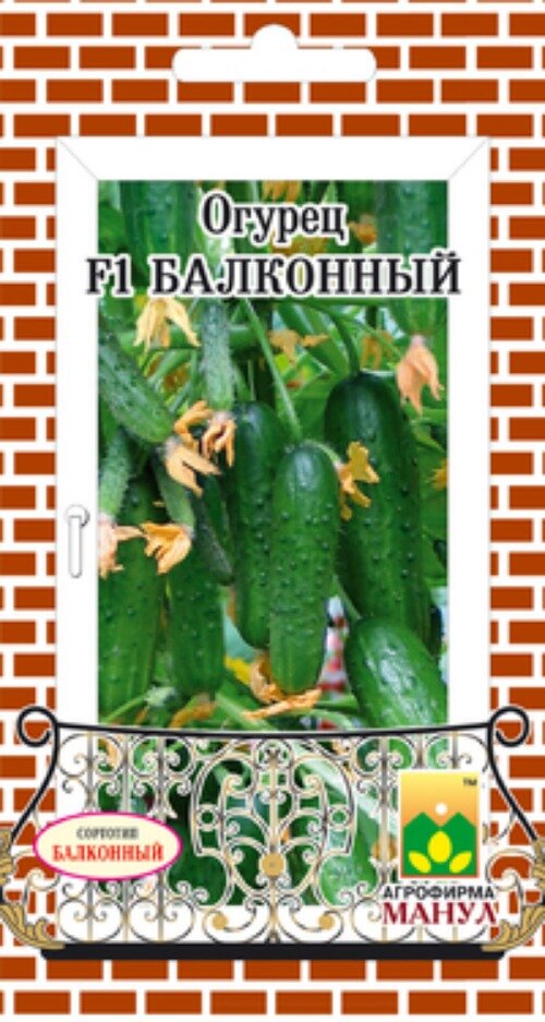 Семена огурца Манул Балконный, партенокарпический, 10 шт