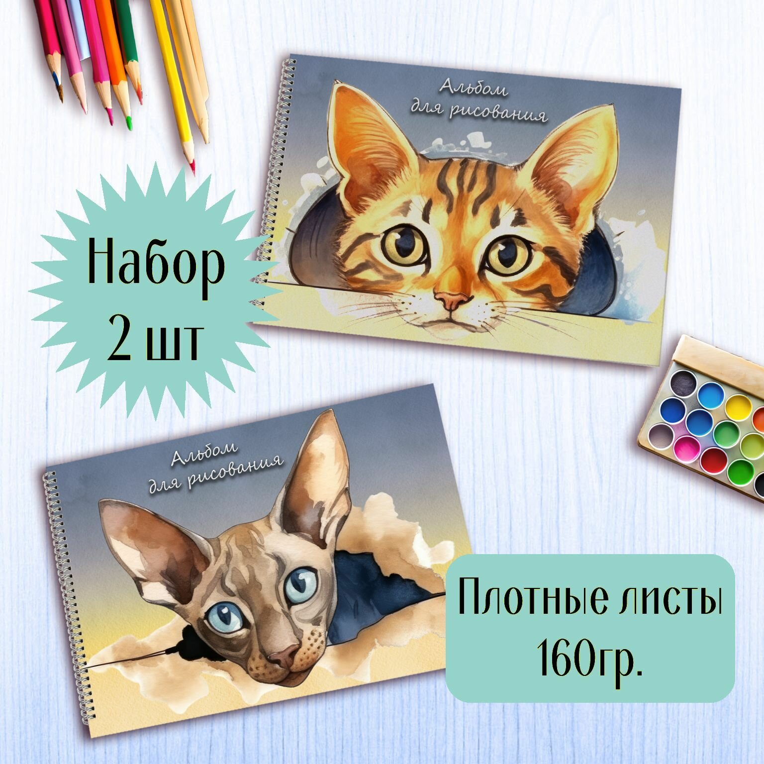 Альбомы для рисования Котики