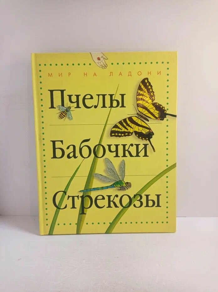 Пчёлы Бабочки Стрекозы