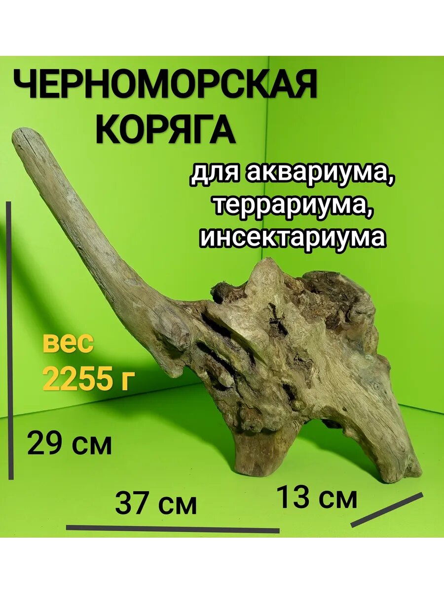 Коряга Черноморская динозаврик для аквариума, террариума