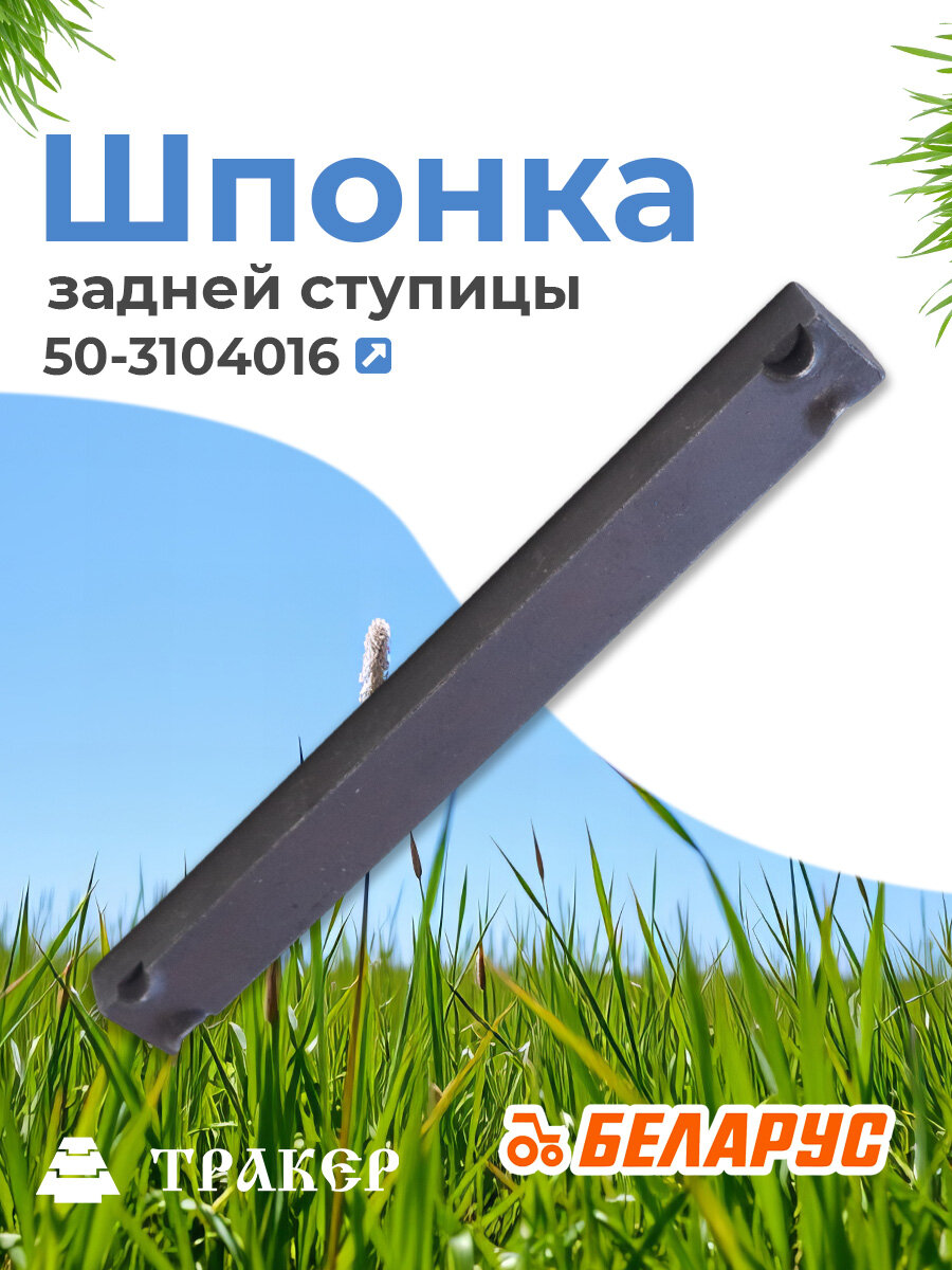Шпонка задней ступицы 50-3104016 трактора МТЗ - 80 (РУП МТЗ)
