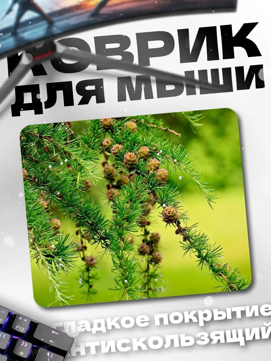 Коврик для мыши Ветки ели с шишками