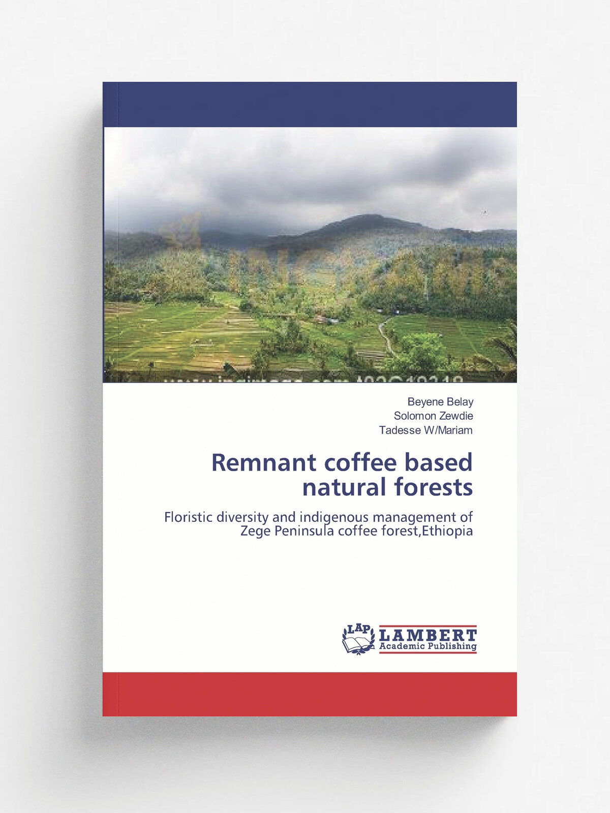 Remnant coffee based natural forests