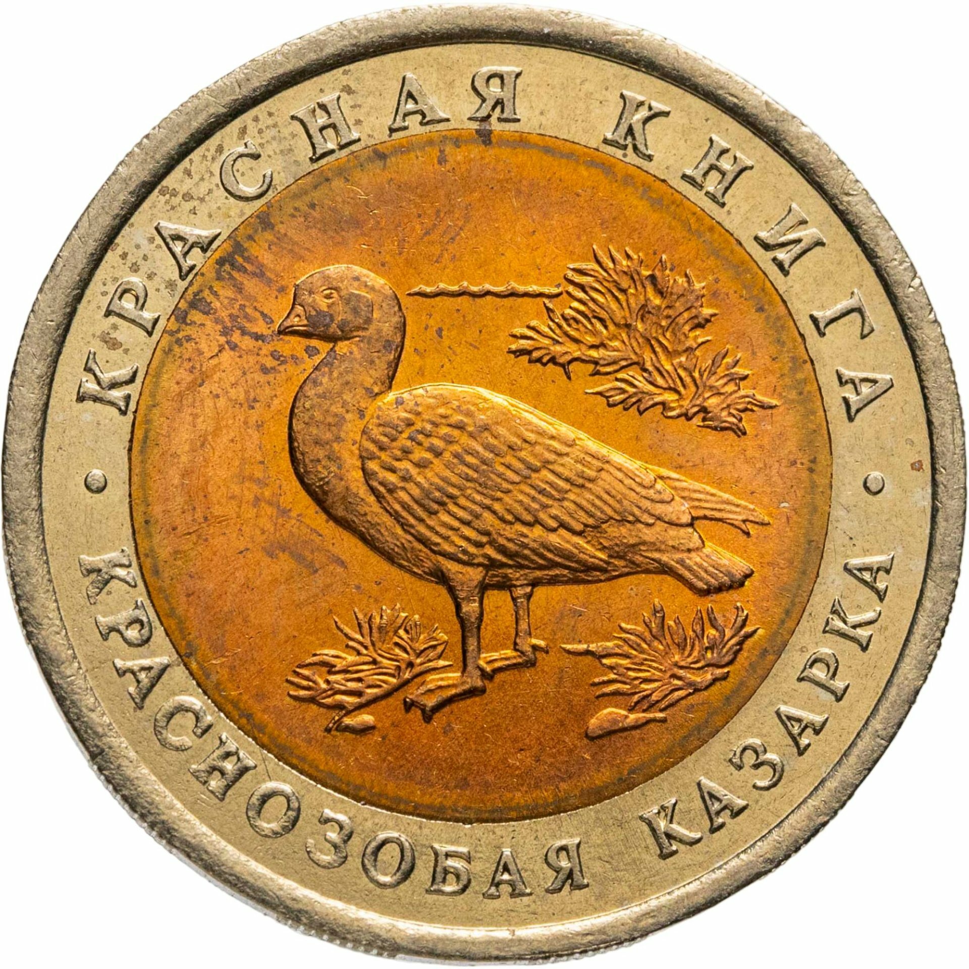 10 рублей 1992 ЛМД "Краснозобая казарка", Биметалл, в сохранности AU-UNC