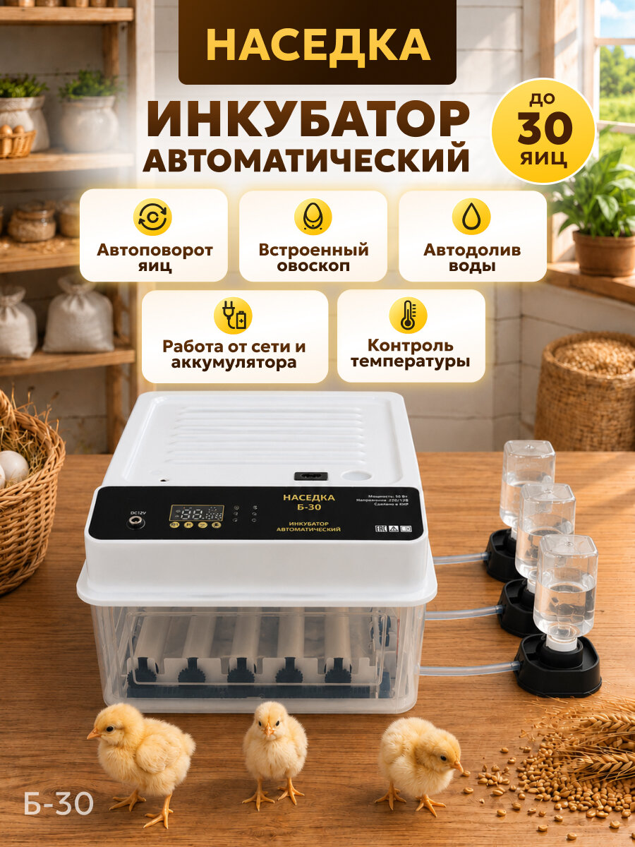 Инкубатор для яиц автоматический Наседка Б-30 с терморегулятором, овоскопом, автоповоротом, 220В/12В