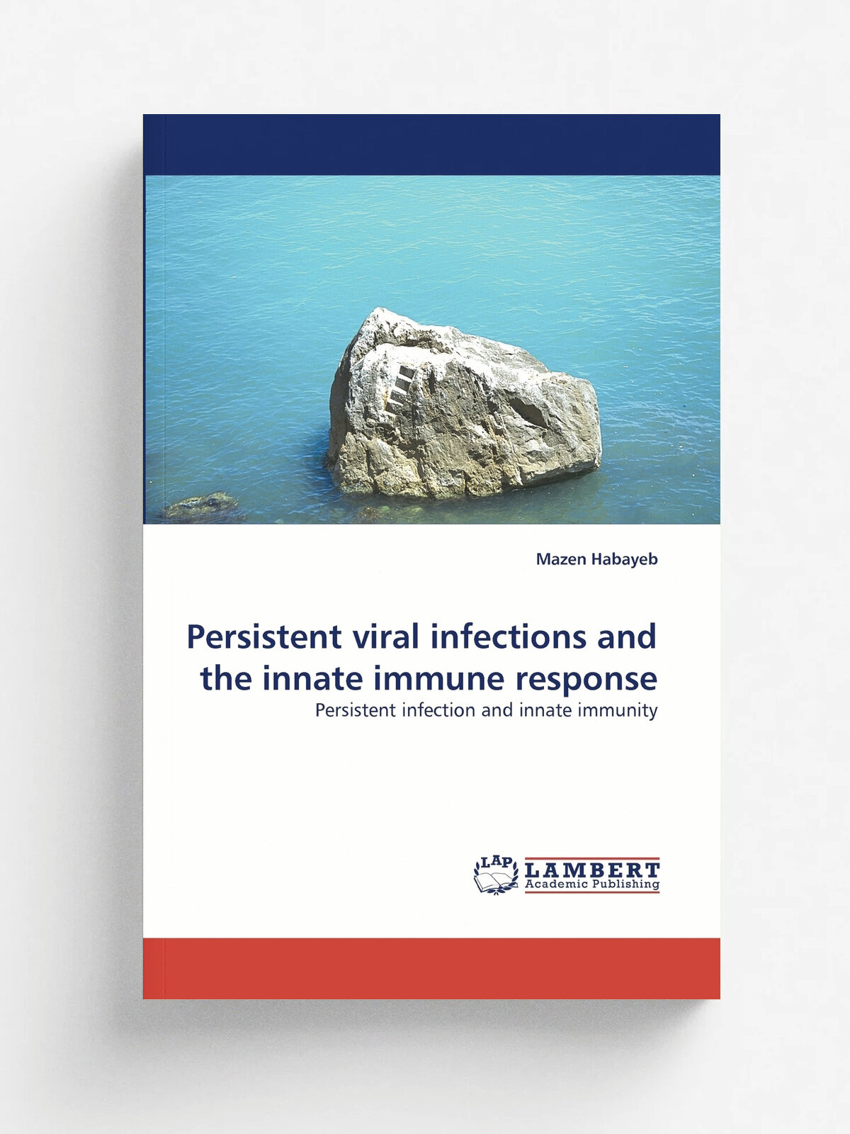 Persistent Viral Infections and the Innate Immune Response