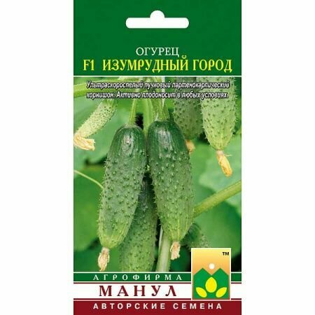 Семена Огурец Изумрудный город , ультраскороспелый , пучковый , самоопыляемый корнишон, 10 семечек. Манул