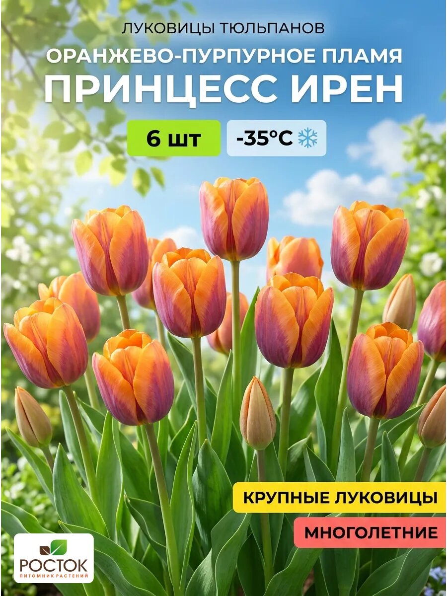 Тюльпаны луковицы для посадки Принцесс Ирен