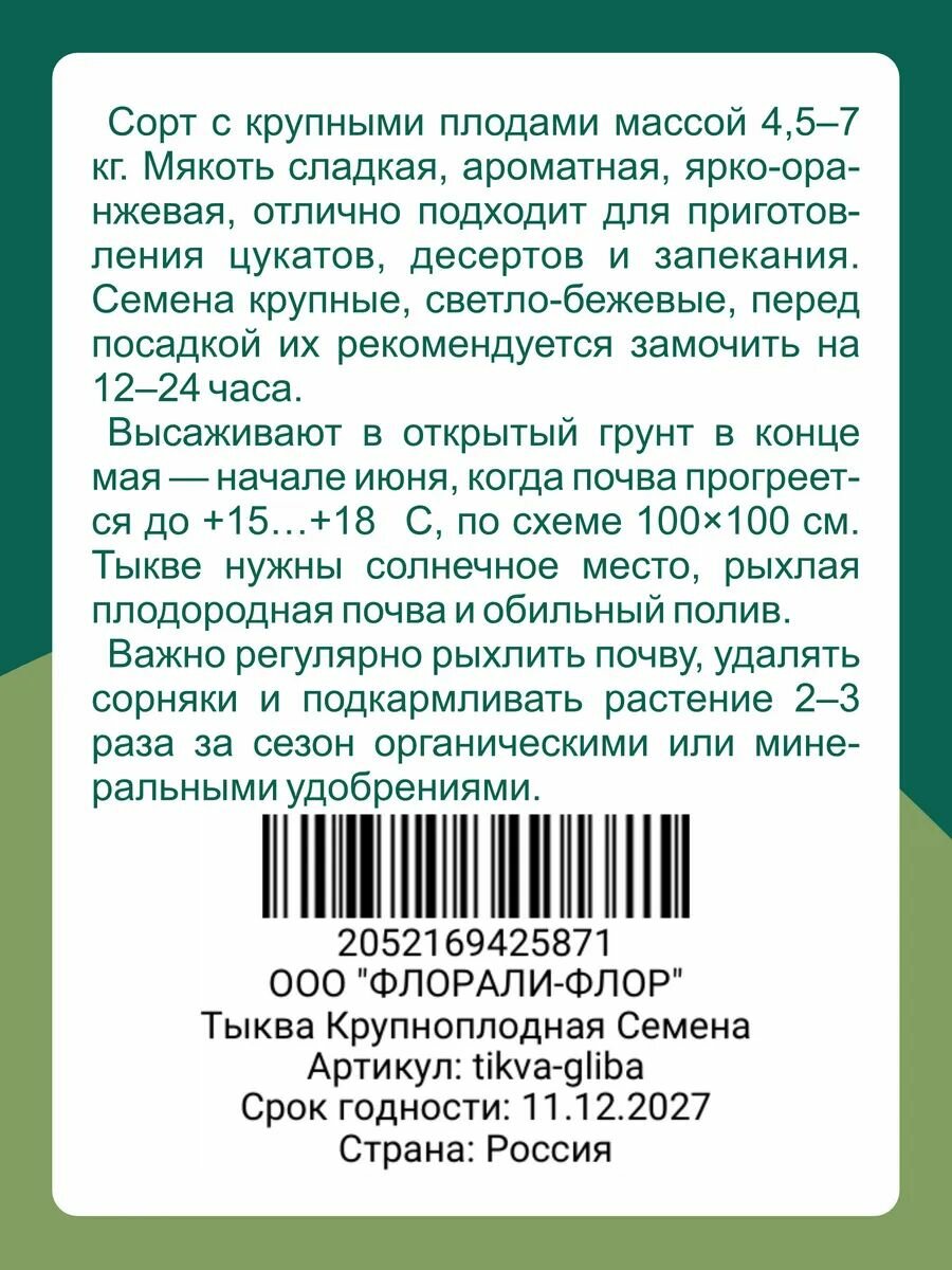 Тыква Крупноплодная Семена — фото 1