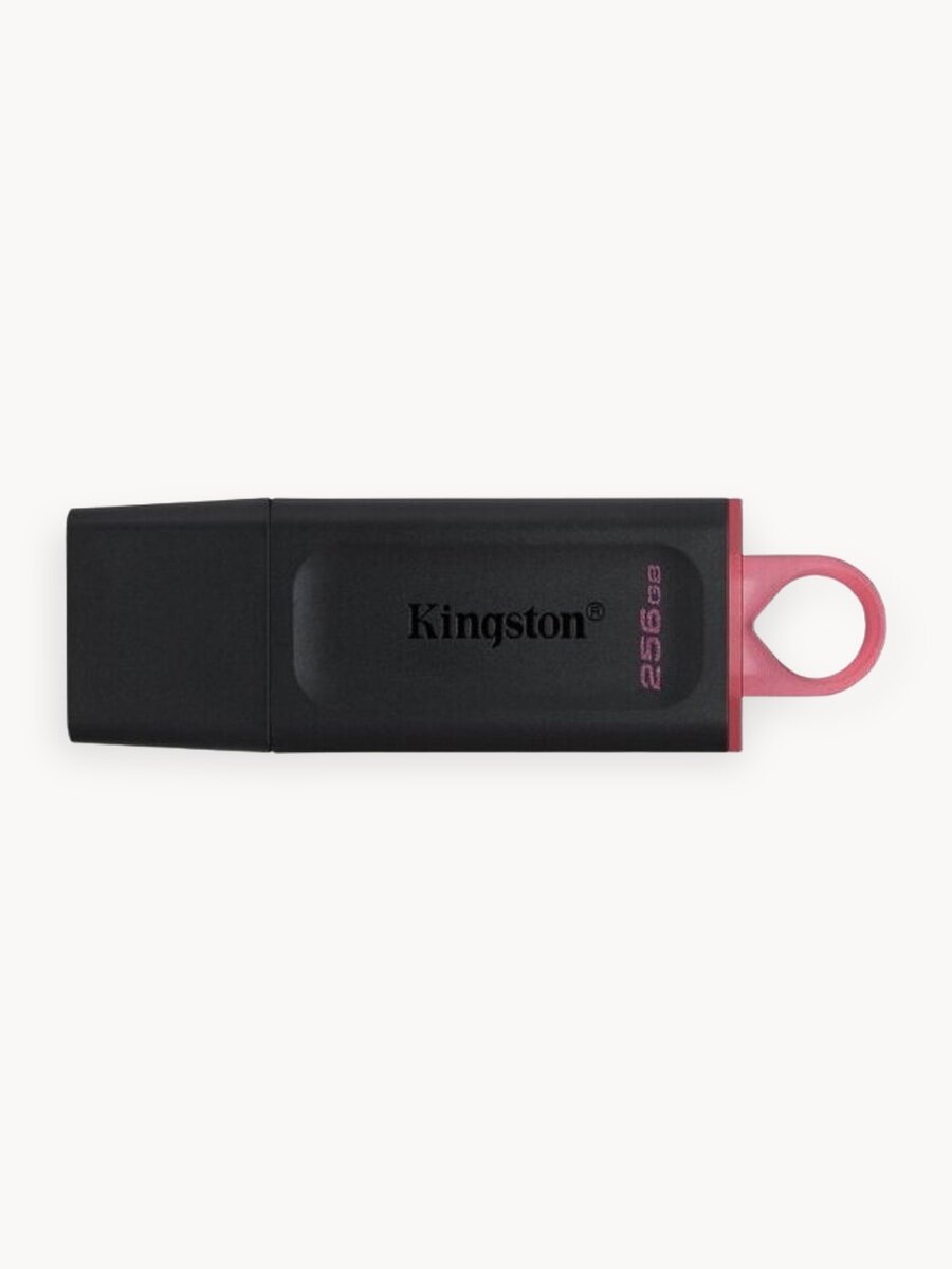 USB флешка Kingston 256Gb DTX/256Gb USB 3.2 Gen 1 (USB 3.0)
