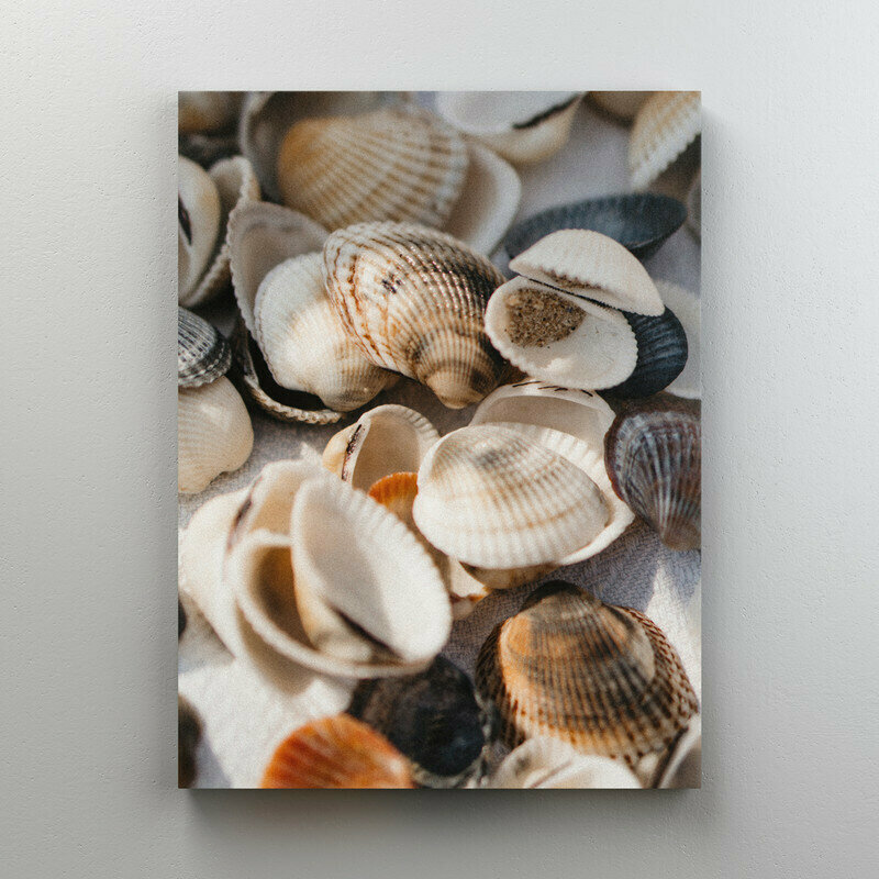 Интерьерная картина на холсте "Морские ракушки", размер 22x30 см