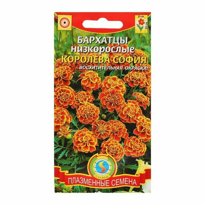 Семена цветов Бархатцы отклонённые «Королева София», низкорослые, 45 шт, «Плазмас»