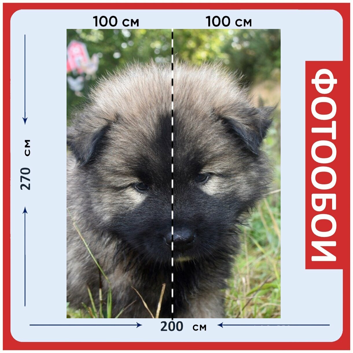 Фотообои "Щенок, собака, домашний питомец" 200x270 см. флизелиновыена стену