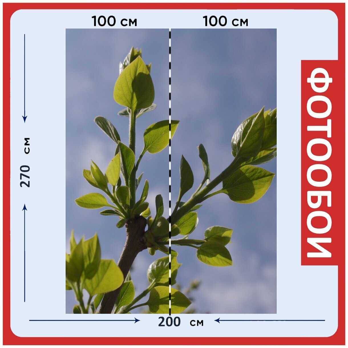 Фотообои "Зелень, листья, сирень" 200x270 см. флизелиновыена стену