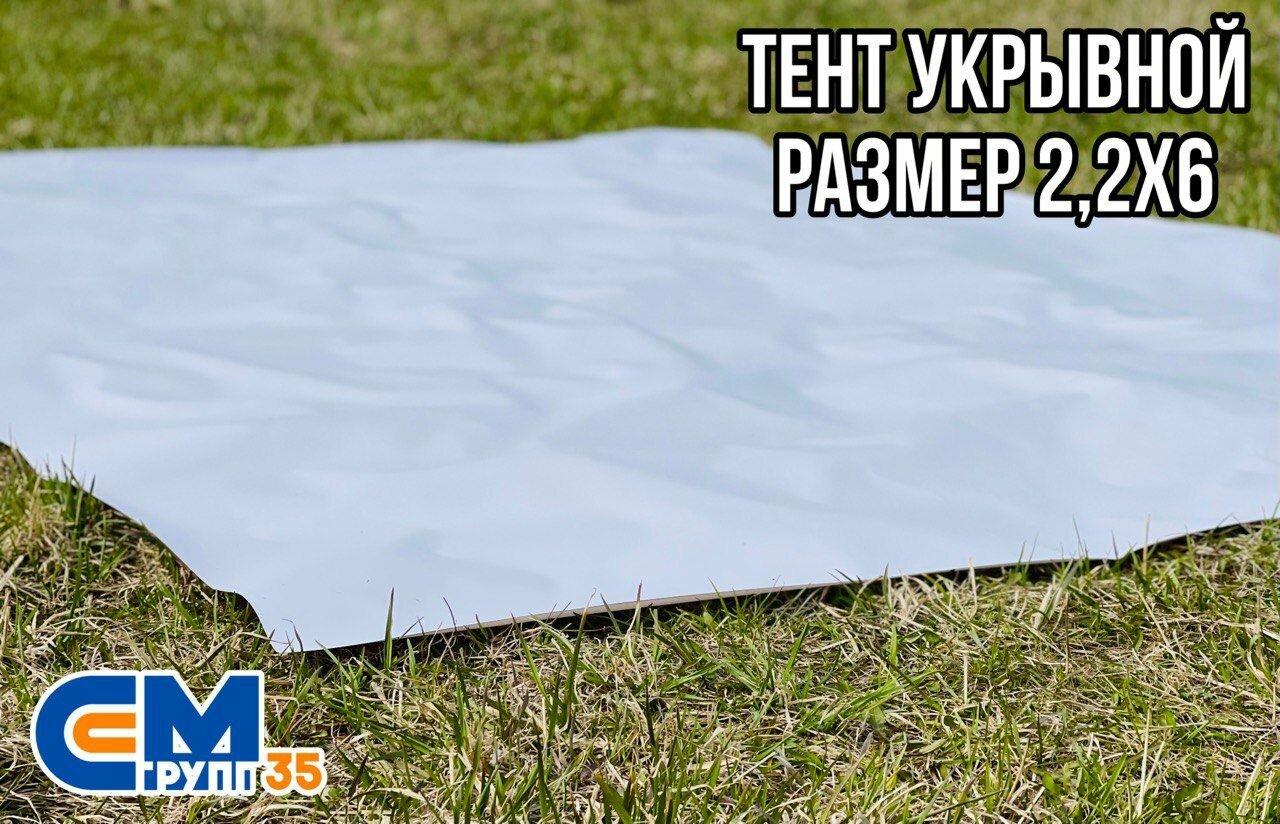 Тент ПВХ укрывной, полог, баннер укрывной, размер 2,2х6, плотность 510 гр/м2, литой