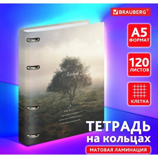 Тетрадь Brauberg на кольцах А5 160х212мм, 120л, картон, матовая ламинация, клетка, , Relax, 404728