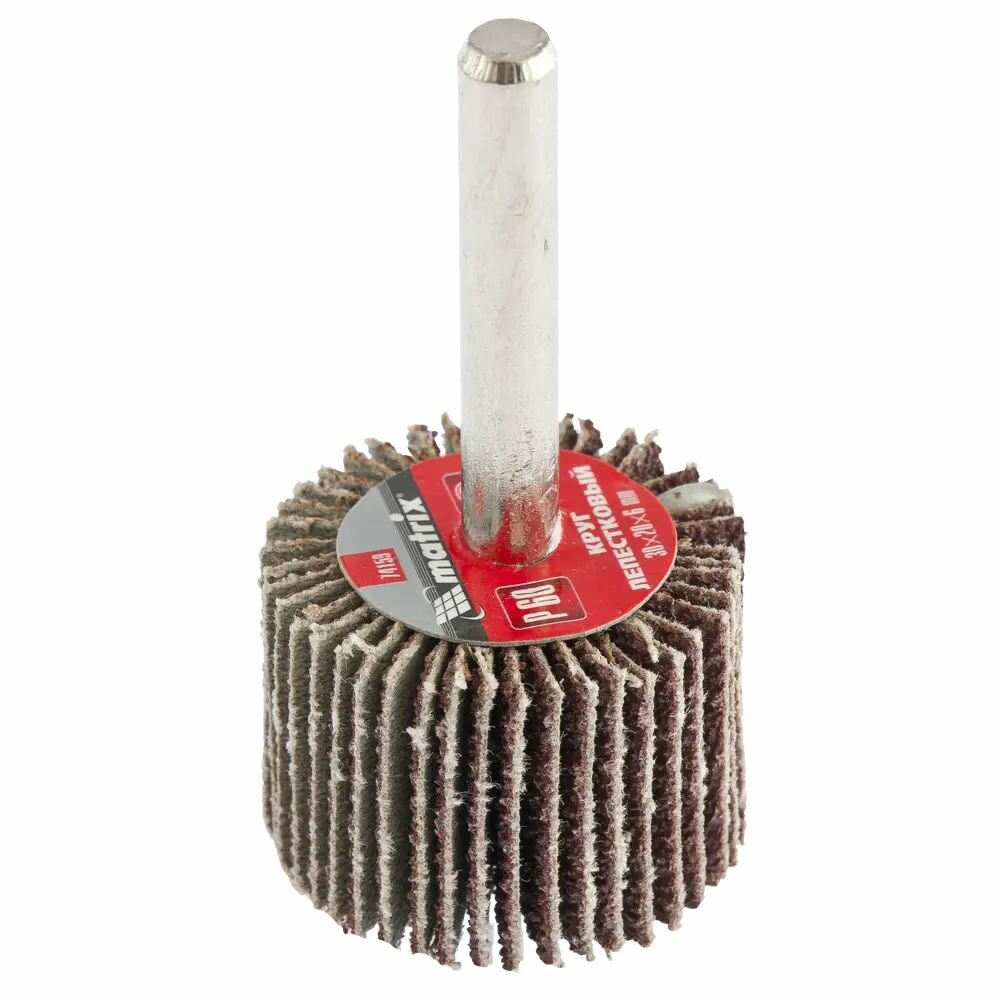 Круг лепестковый радиальный КЛО 74159 P60 30x6x20 мм