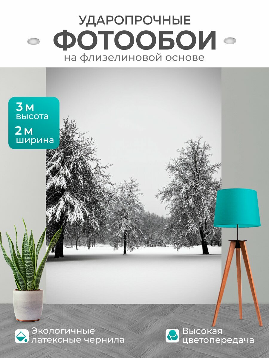 Фотообои моющиеся ударопрочные "Черно-белый с изолированными заснеженными деревьями на фоне серого неба. легкие венцы снега придают этому ландшафту" 200x300 см. флизелиновые на стену