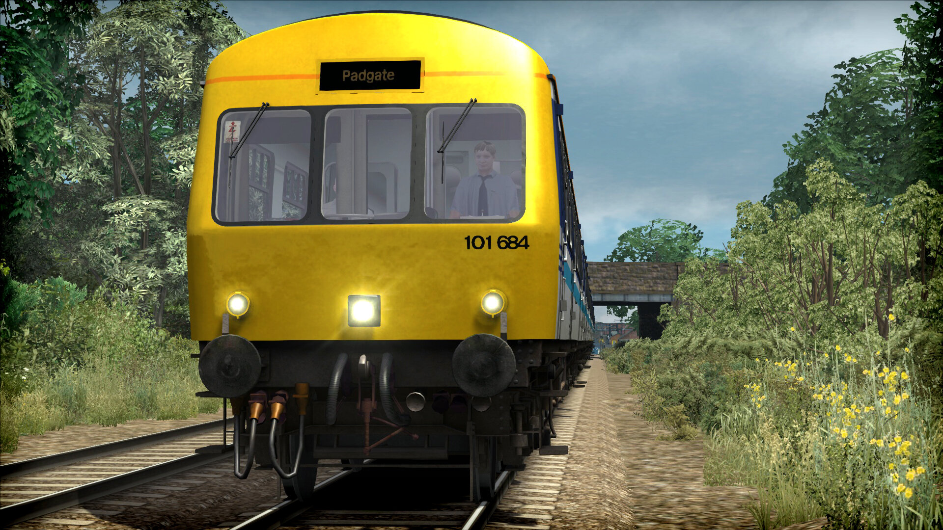 Train Simulator: BR Regional Railways Class 101 DMU Add-On (Steam; PC; Регион активации РФ)