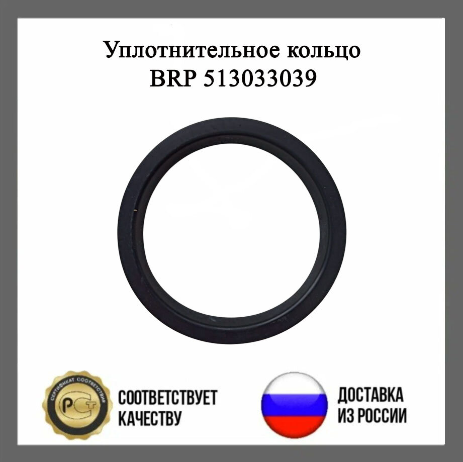 Уплотнительное кольцо BRP 513033039