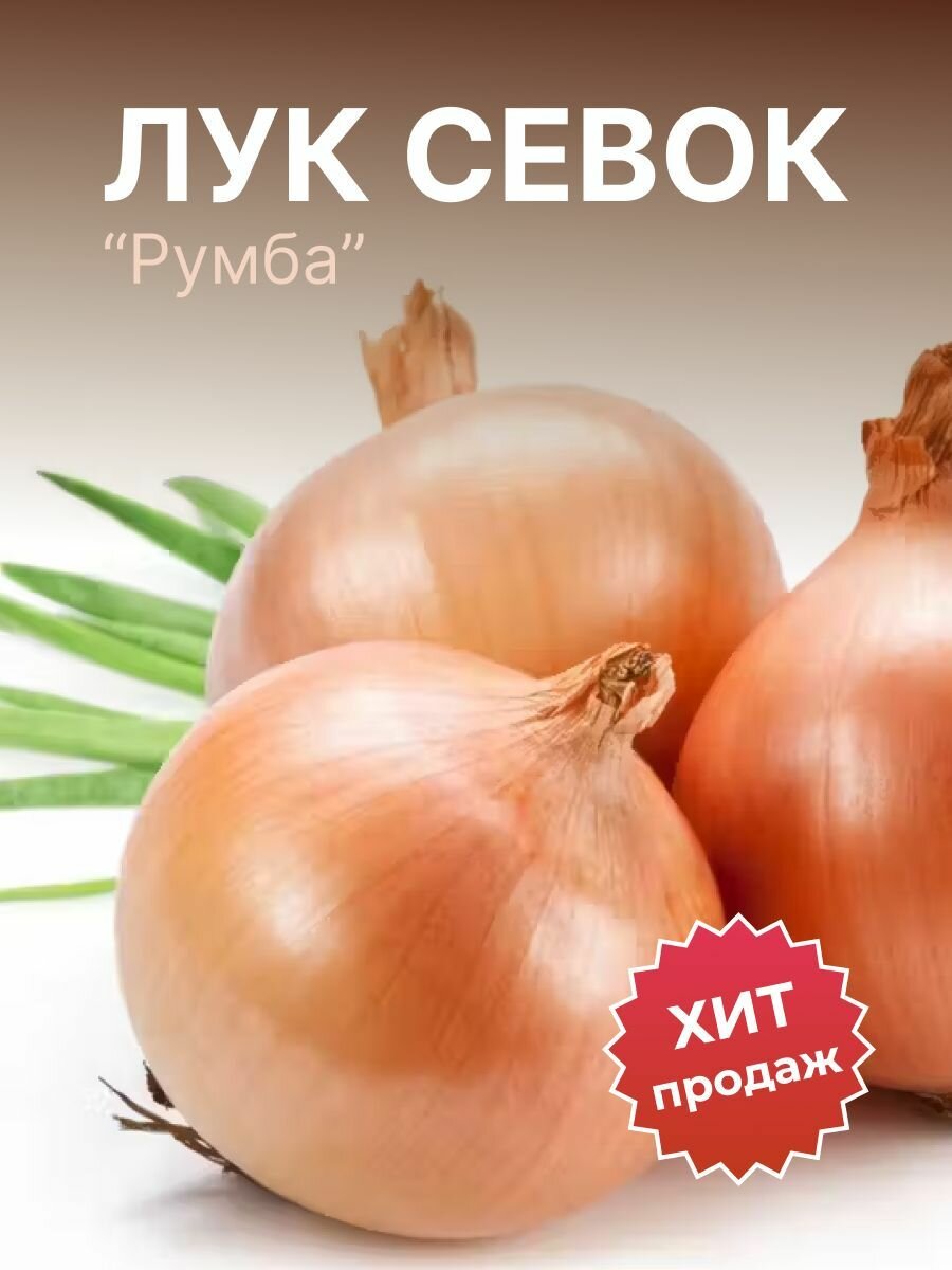 Лук севок на посадку " Румба " 800г