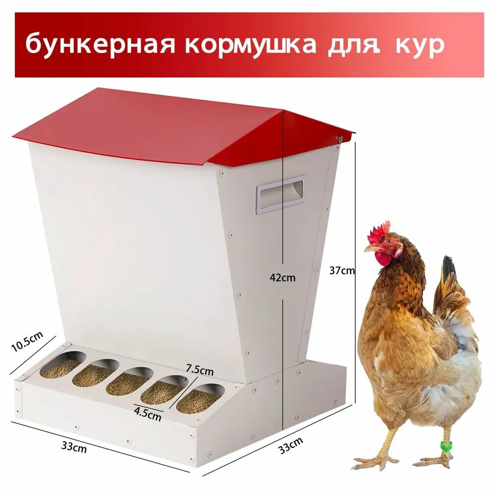 Бункерная кормушка для кур, Нержавеющая сталь, Курица, утка, гусь, домашняя птица