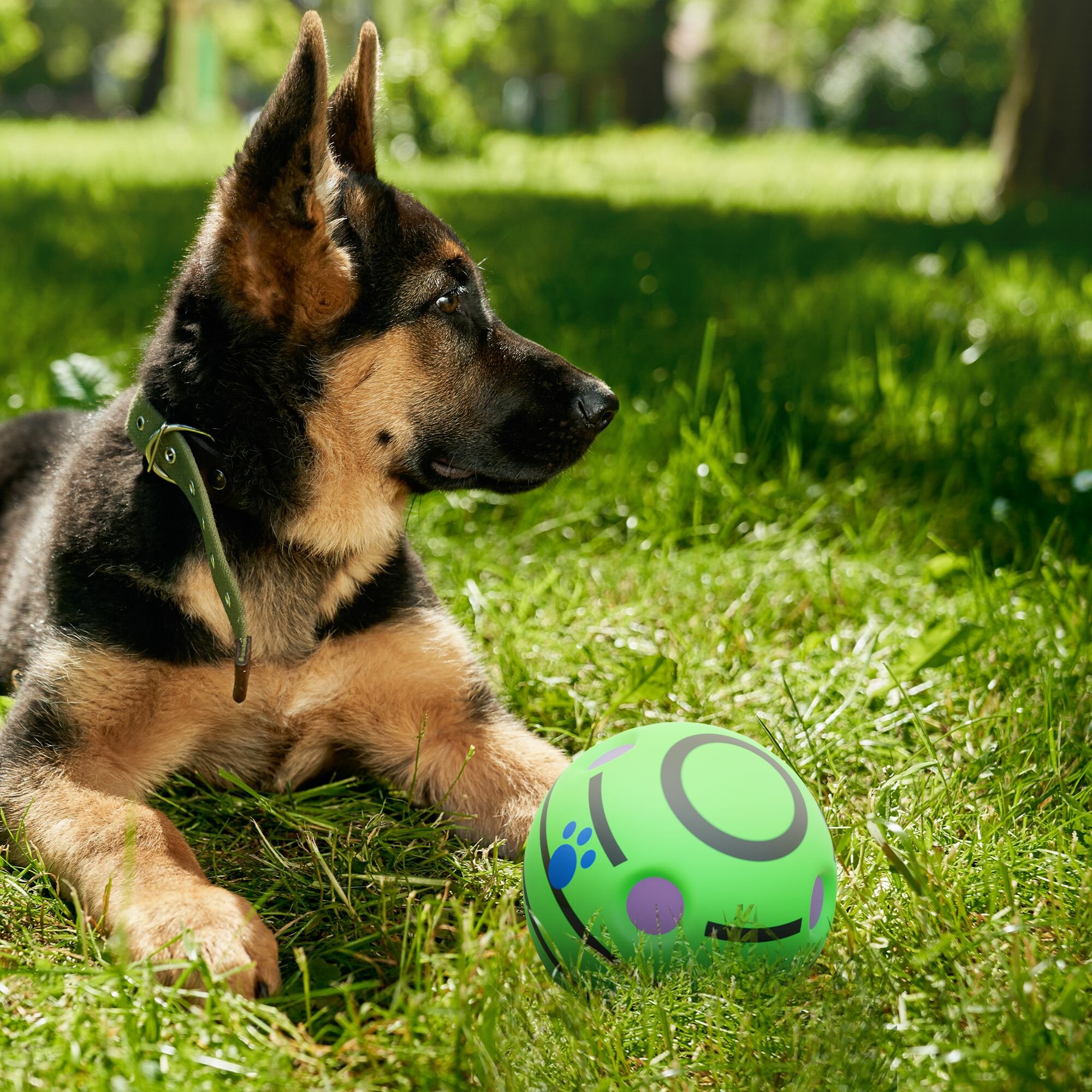 Интерактивный мяч для собак PUREVACY. Игрушка для собак мелких, средних, крупных пород, большой мячик с пищалкой, хихикающий мяч wobble wag giggle