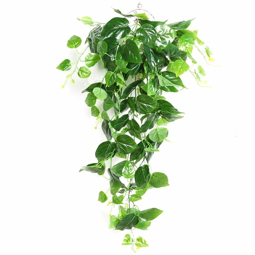 Имитация растения, висящего на стене в помещении для украшения гостиной-зеленый укроп