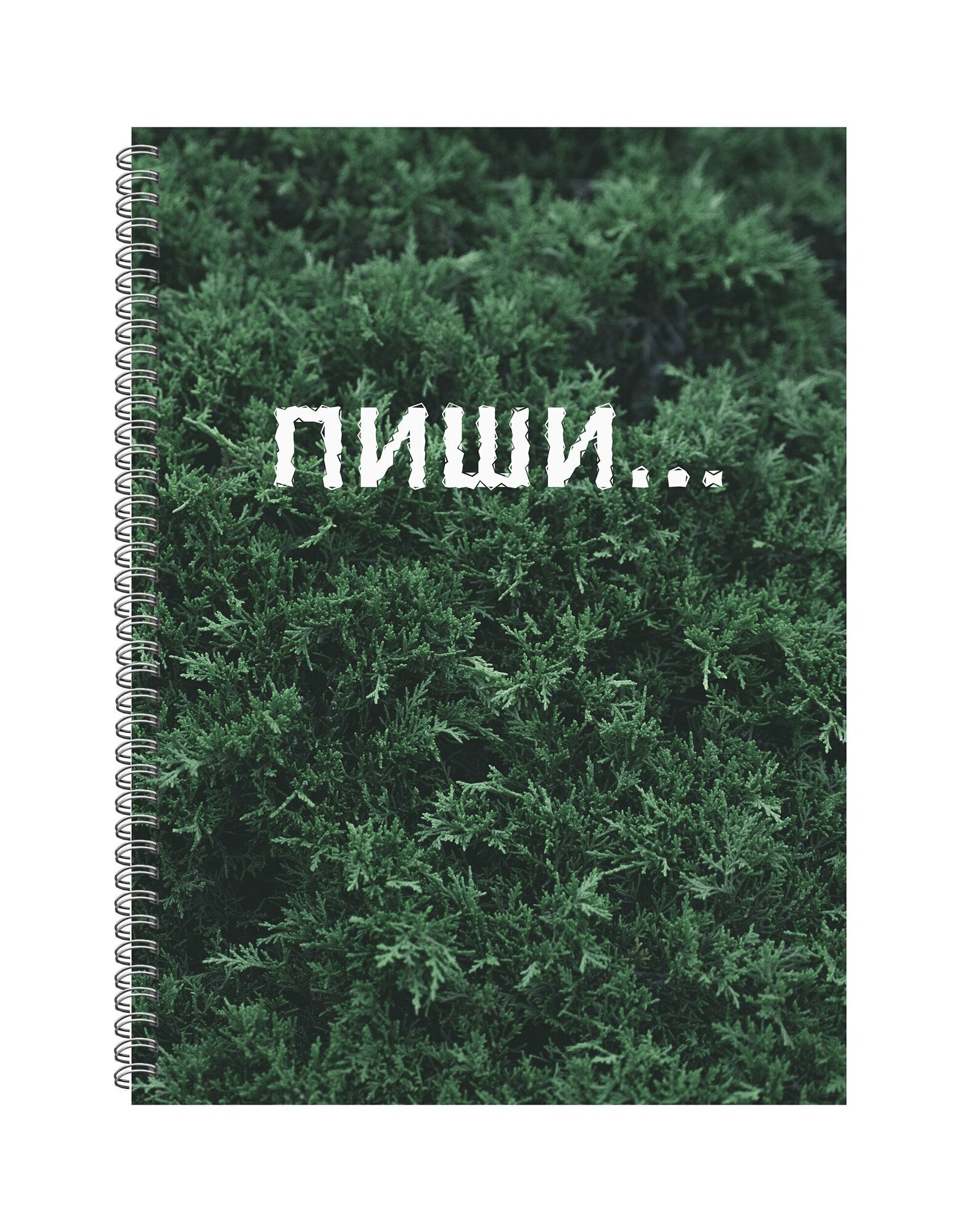 Тетрадь в клетку Listoff, "Пиши", А4, 120 листов