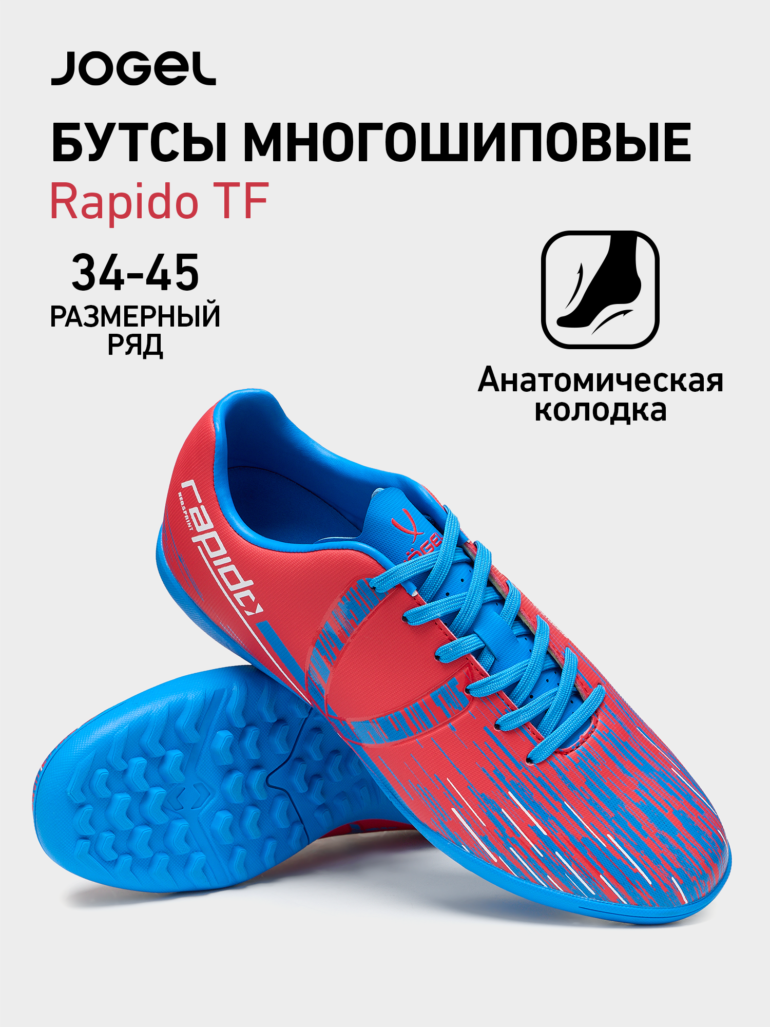 Сороконожки