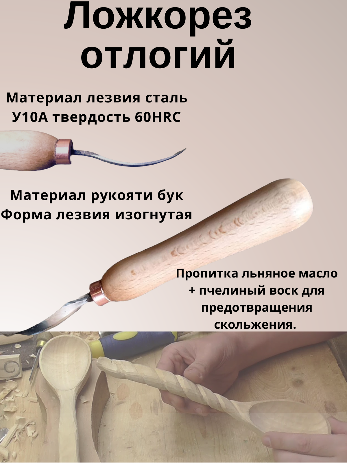 Ложкорез отлогий