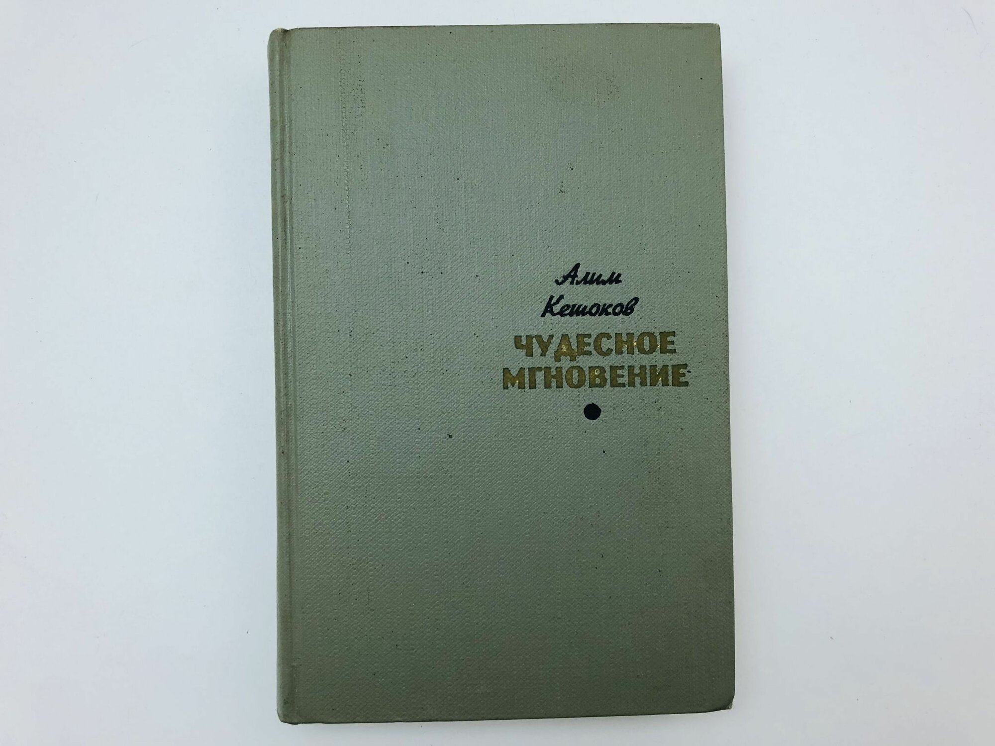 Чудесное мгновение. Роман