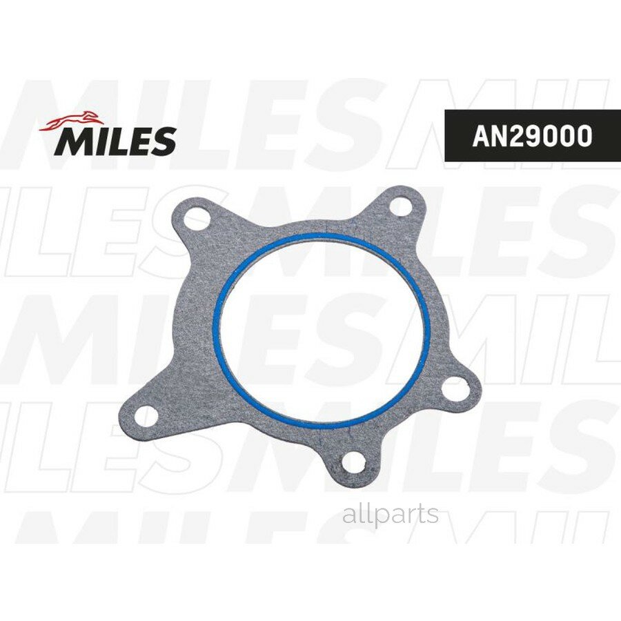 MILES AN29000 Прокладка водяного насоса HYUNDAI SOLARIS 10-/ELANTRA 06-/i30/IX35/TUCSON 10-