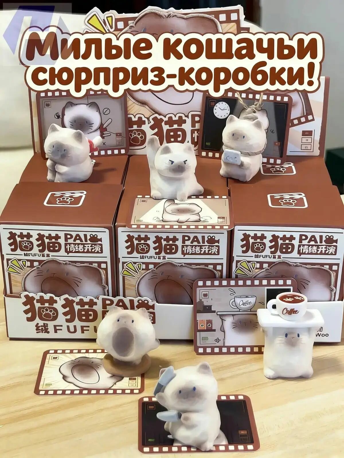 Премиумбокс с котами, 1/6 шт