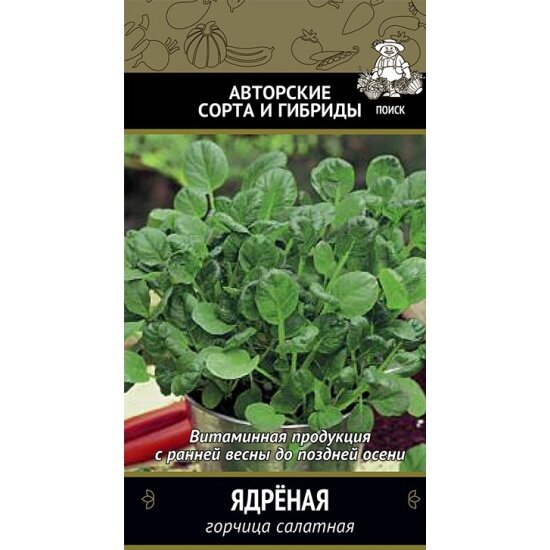 Семена Горчица Ядрёная салатная 1г Ранние (Поиск) автор