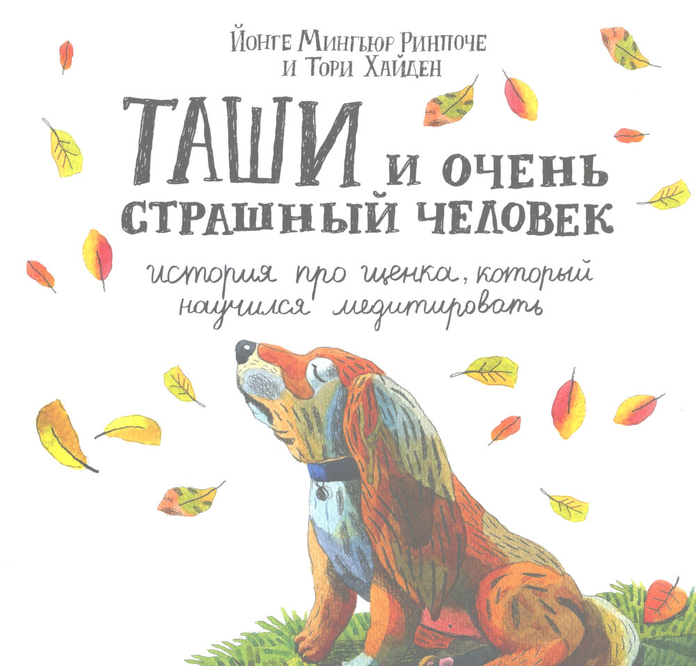 Таши и Очень Страшный Человек. История про щенка, который научился медитировать, Йонге Мингьюр Ринпоче, Хайден Т, Изд. Ганга