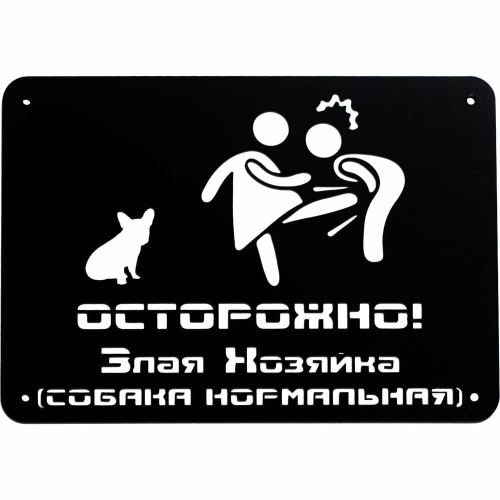 Табличка ООО СКП Осторожно, злая хозяйка, 30х21 см, сталь, порошковое покрытие