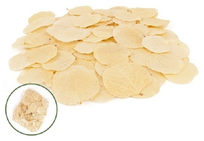 Сухоцвет листья "Монетка" отбеленные 3см-6см, 50 грамм в упаковке, для декора