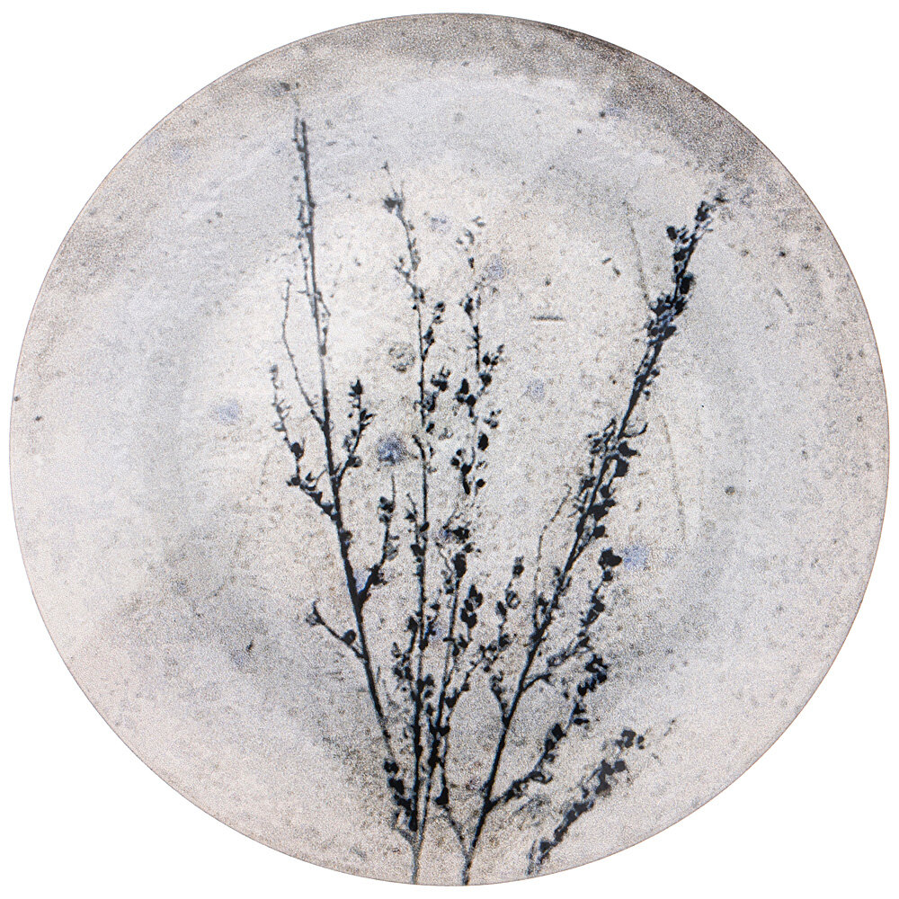 Тарелка Bronco provence