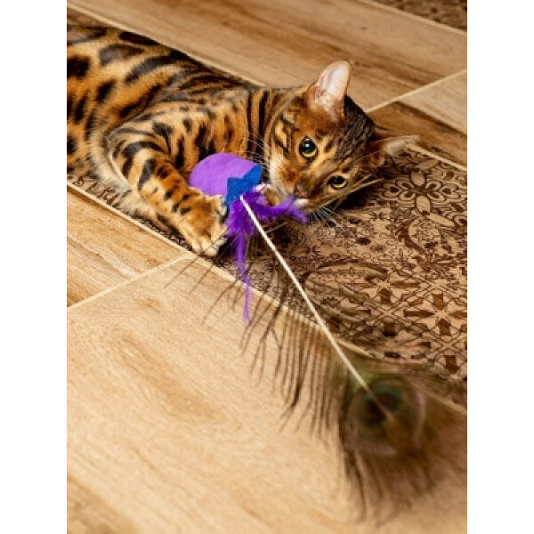 Japan Premium Pet Дразнилка для кошек с павлиньим пером и кошачьей мятой, фиолетовая 40 гр x 1 шт.